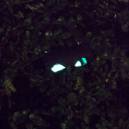 DIY Spooky Glow Stick Eyes