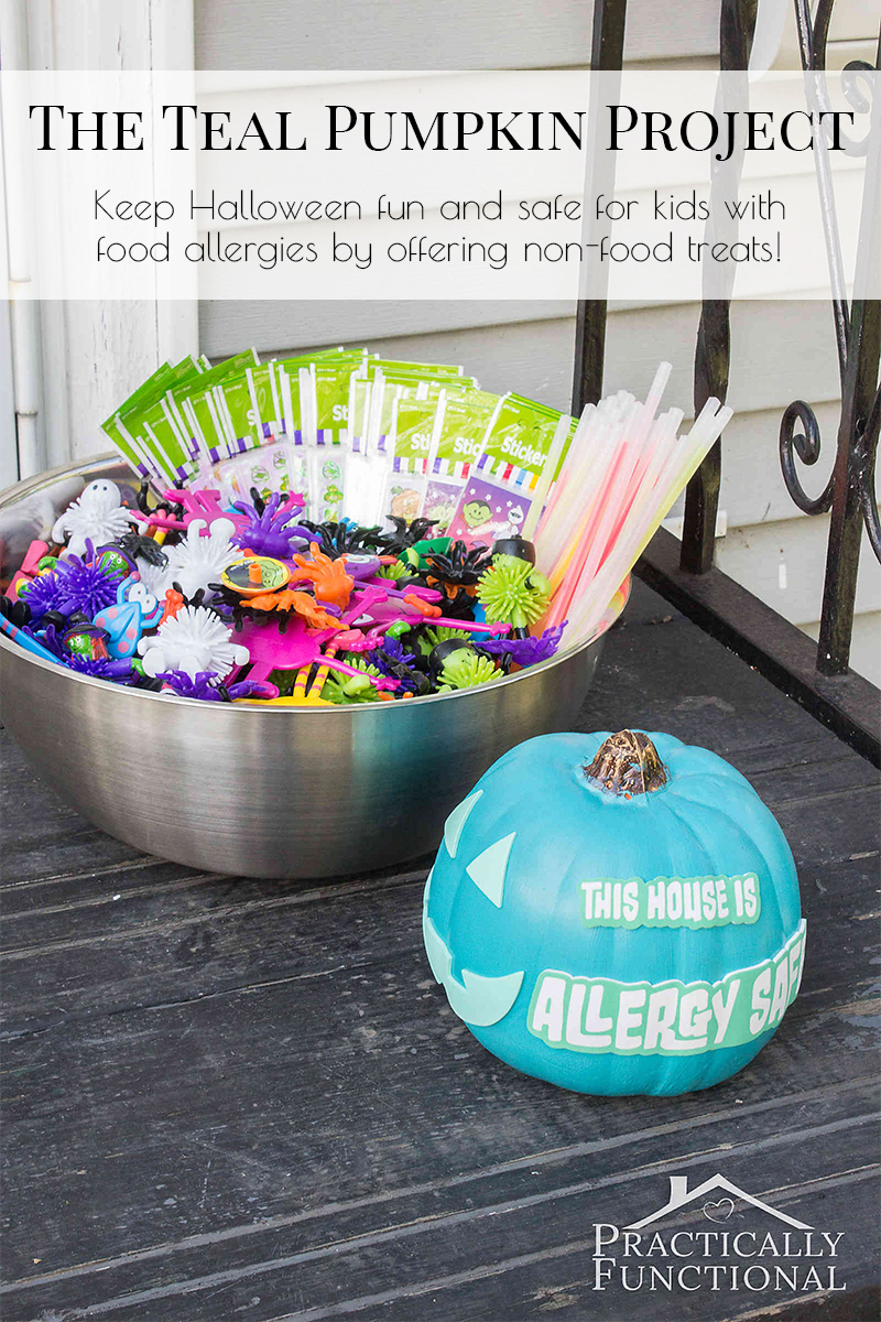 The Teal Pumpkin Project 2016 – Practically Functional